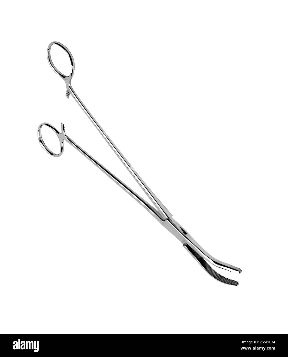 surgical pliers isolated on white background. surgical pliers isolated ...