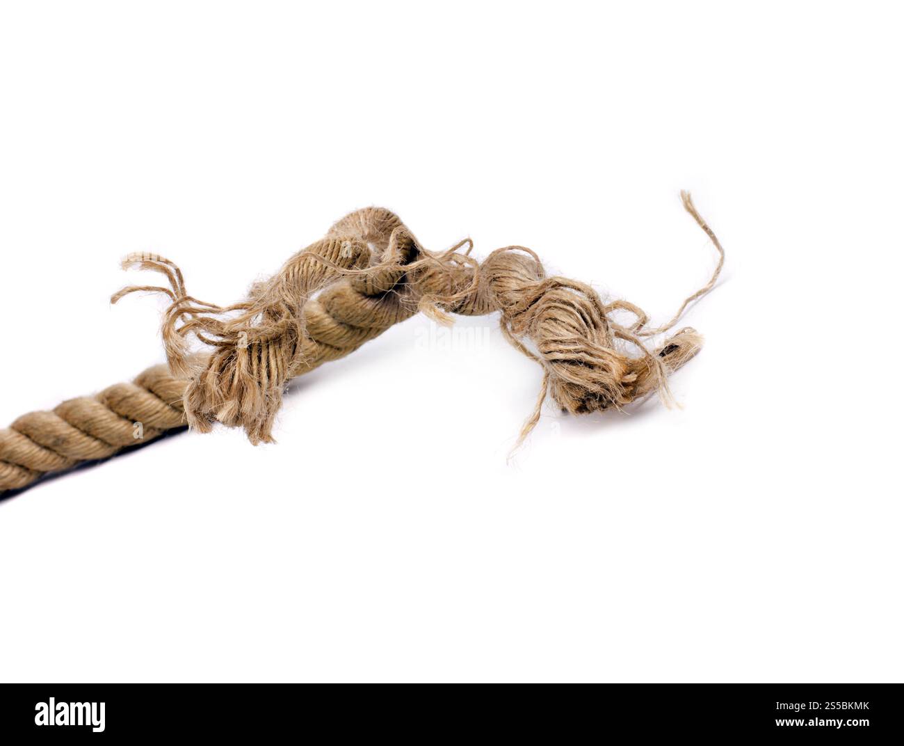 ship rope and knot isolated on white background. ship rope and knot ...