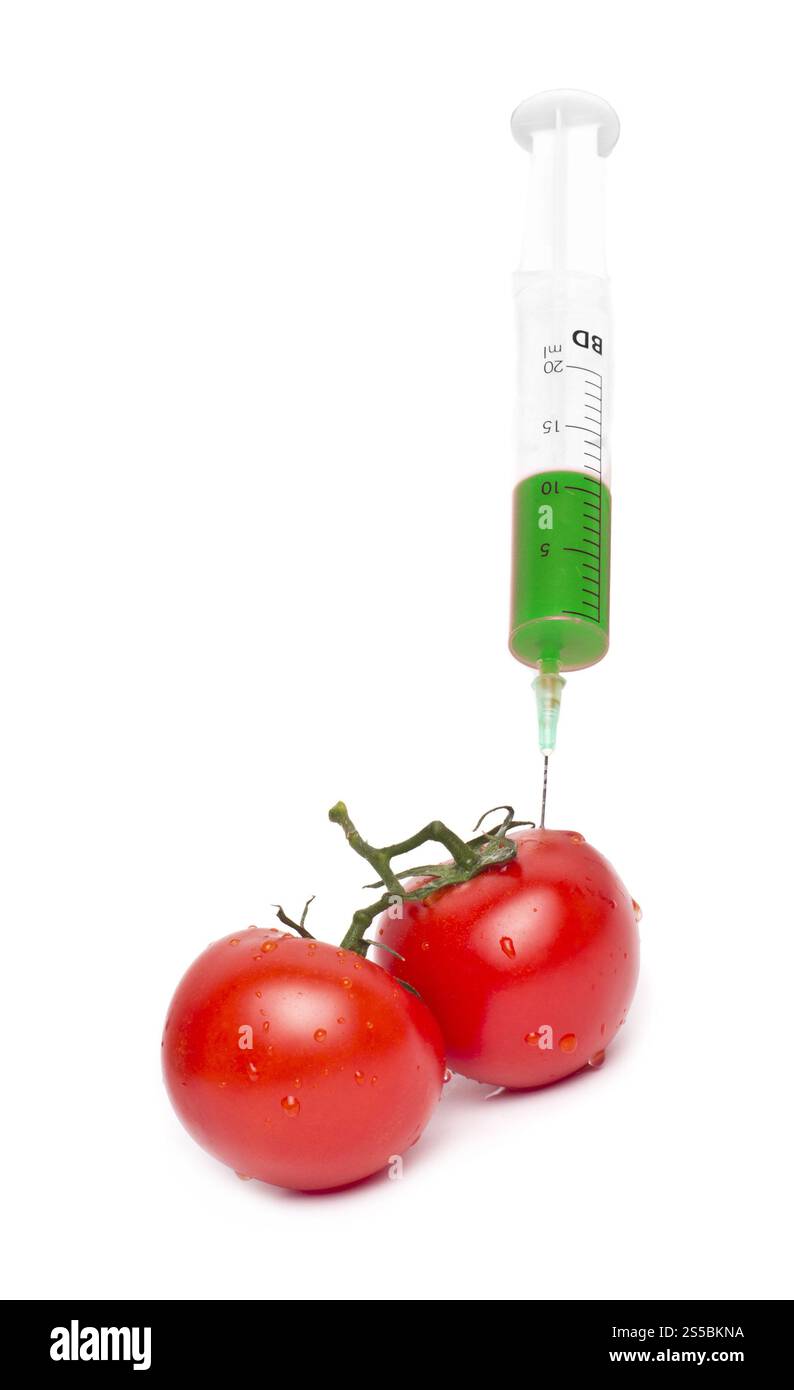 Gmo product concept: Tomato injection isolated. Gmo product concept ...