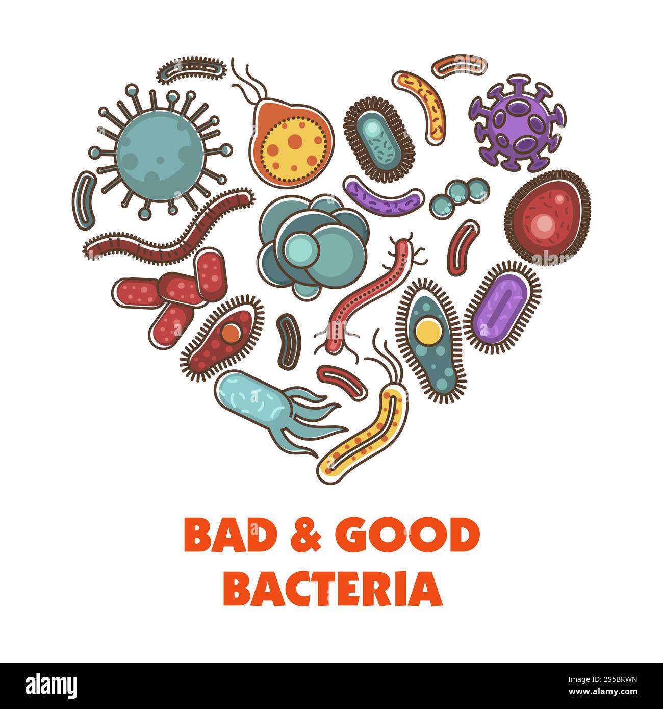 Bad and good bacteria poster with microelements in heart. Biological ...
