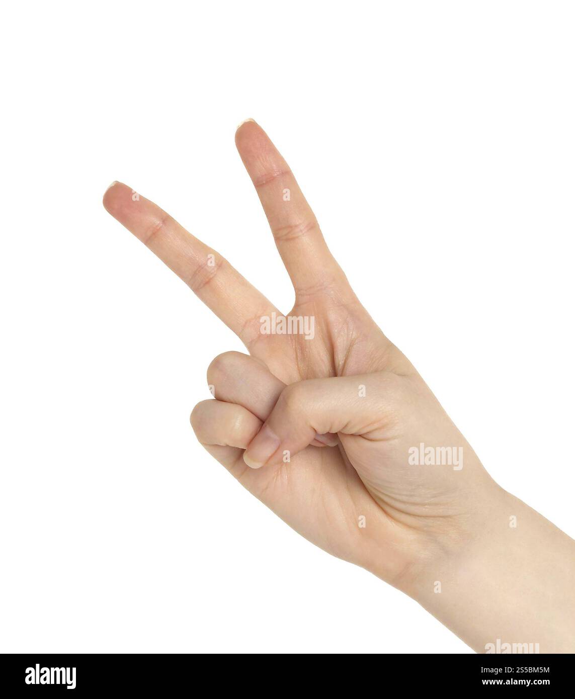 Hand with two fingers up in the peace or victory symbol. Also the sign ...