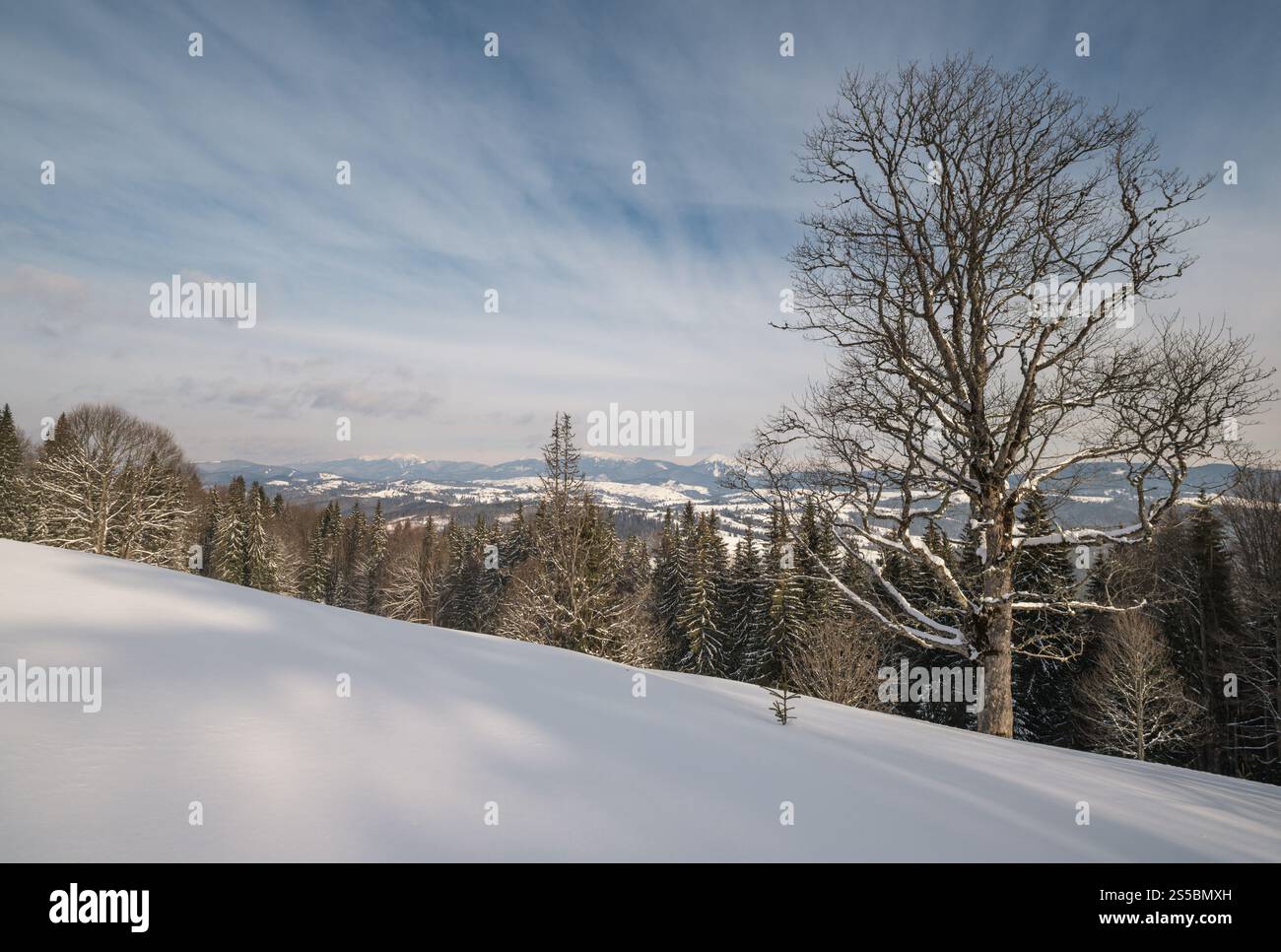 Winter remote alpine mountain village outskirts, countryside hills ...