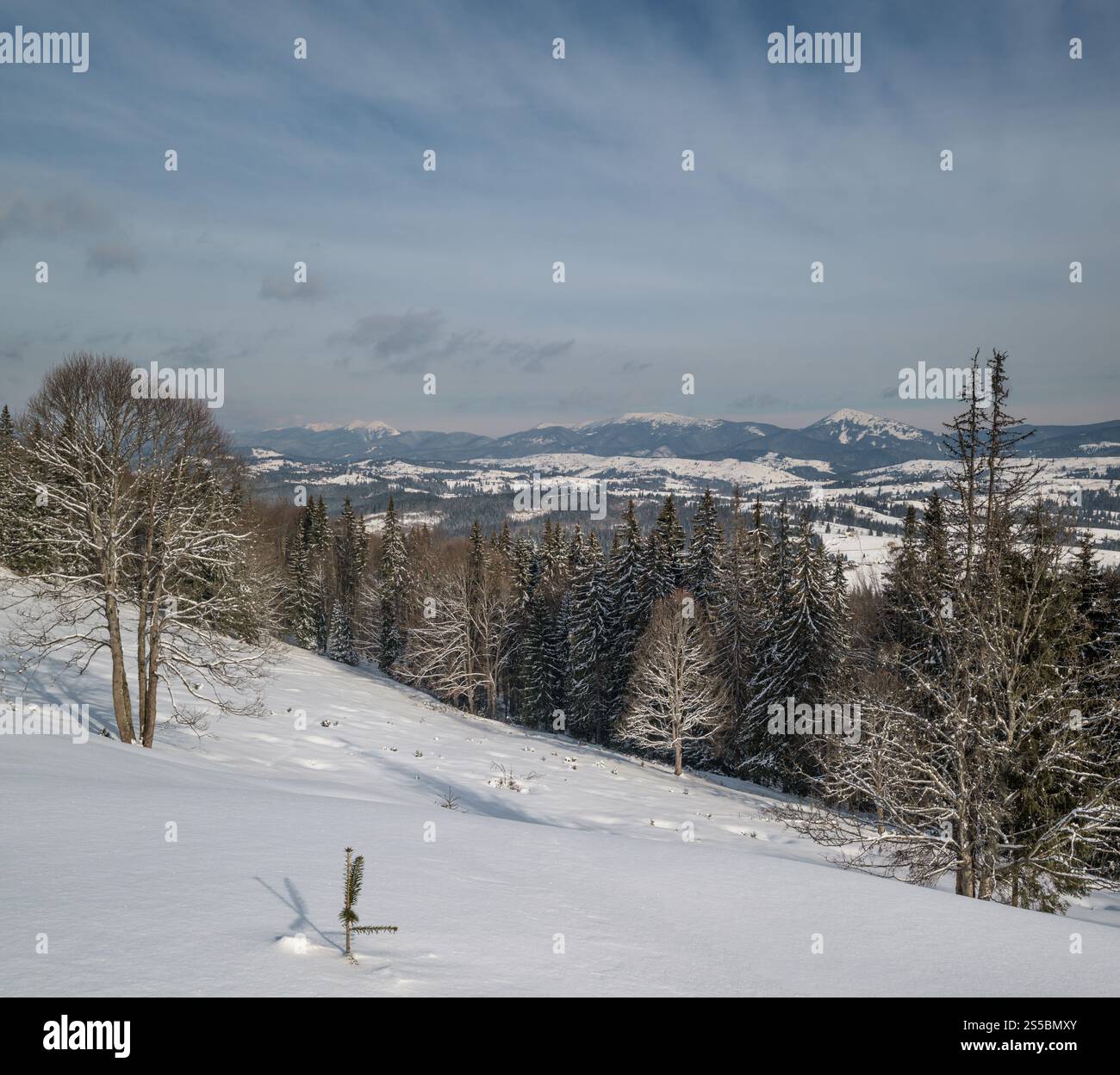 Winter remote alpine mountain village outskirts, countryside hills ...