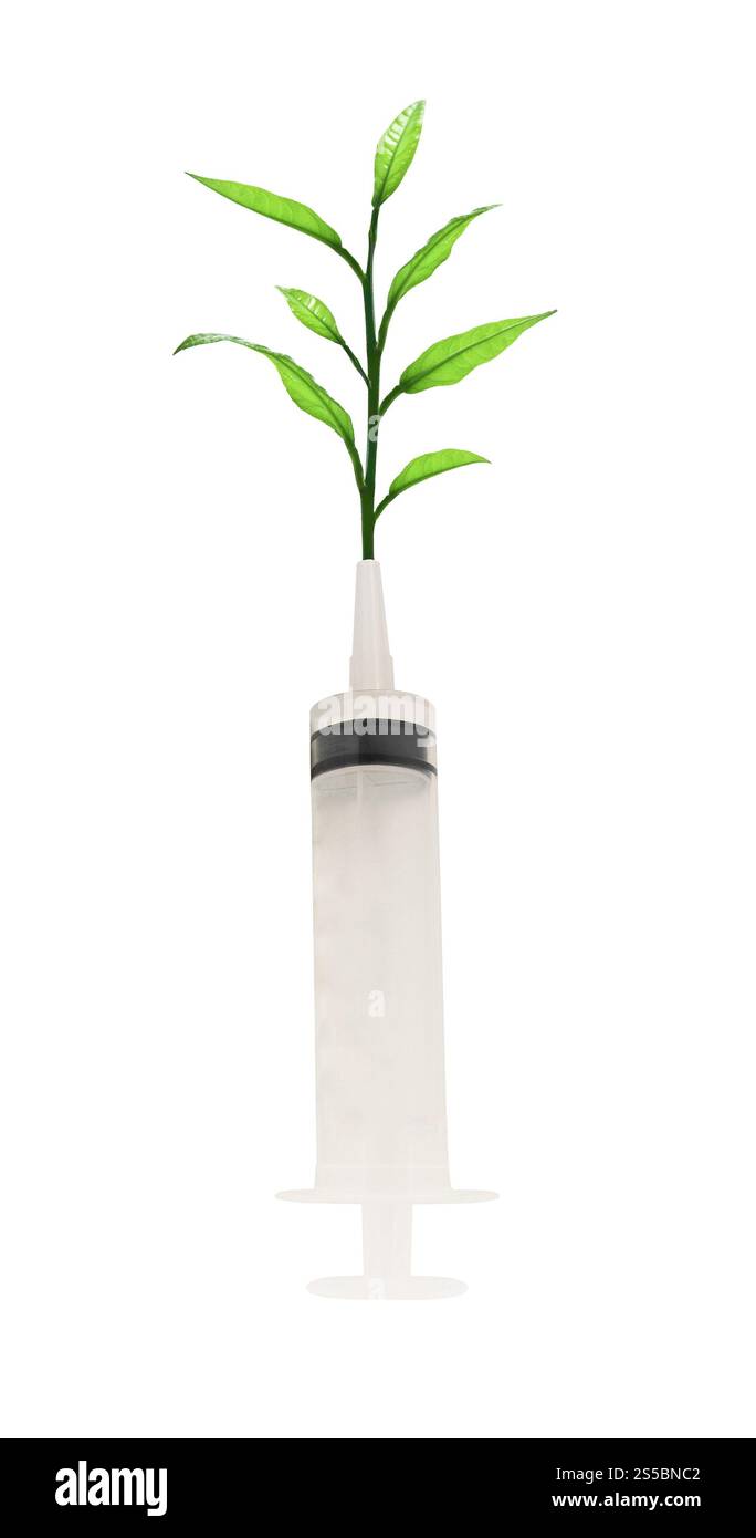 syringe with a small tree isolated on white background. syringe with a ...