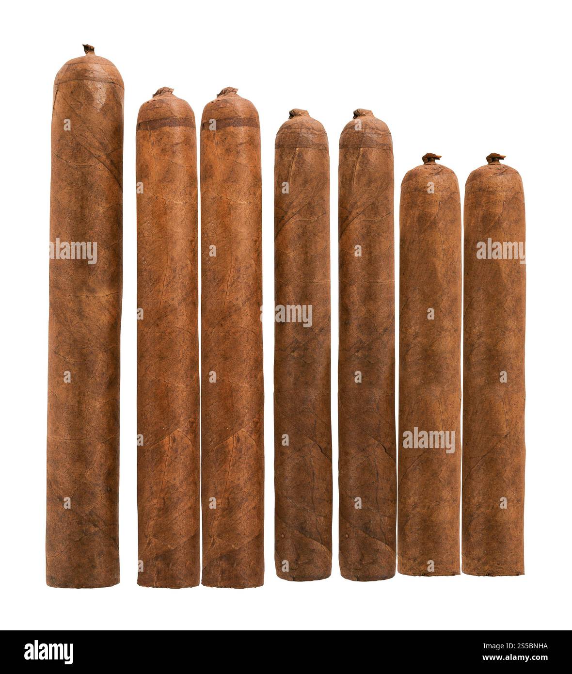 isolated cigars all sizes isolated on a white background. cigars all ...