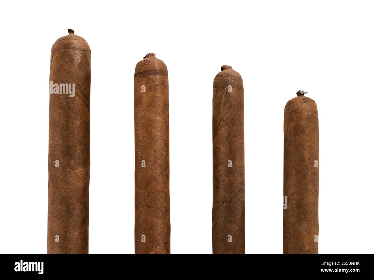isolated cigars all sizes isolated on a white background. isolated ...