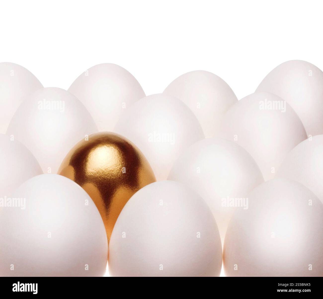 one gold egg lays among common white eggs isolated on a white ...