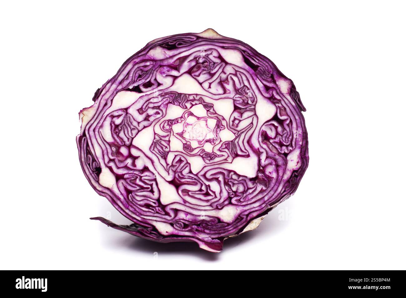 red cabbage isolated on white. red cabbage Stock Photo - Alamy