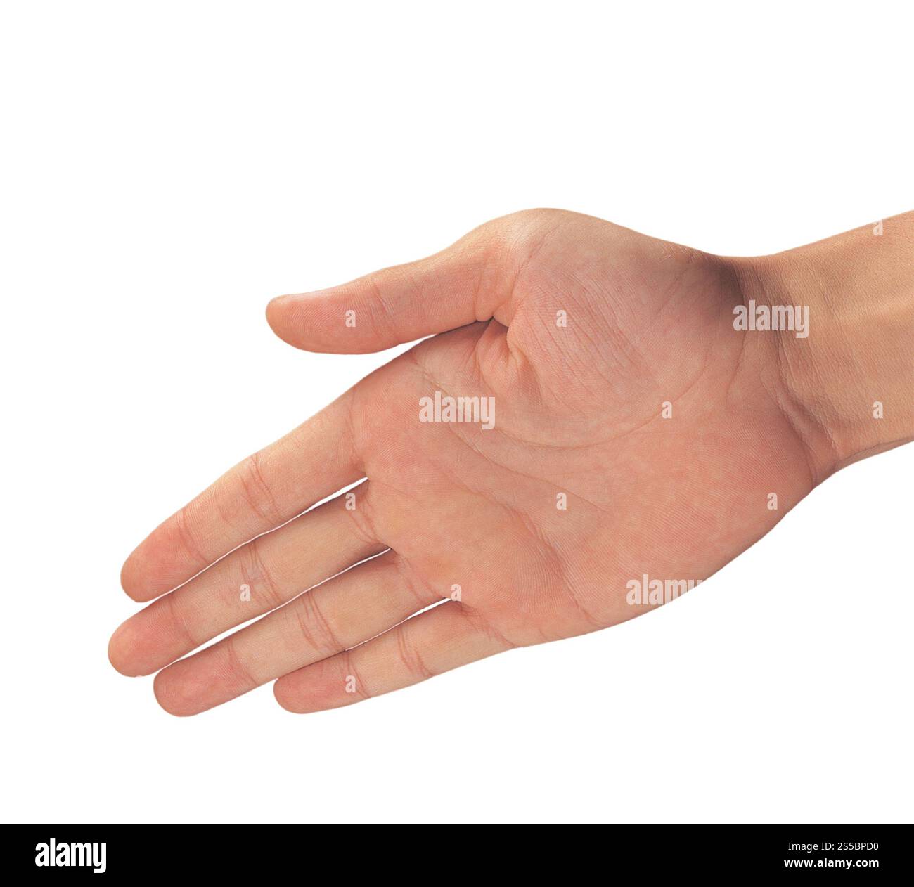 Man hand sign isolated on white background. Man hand sign isolated ...