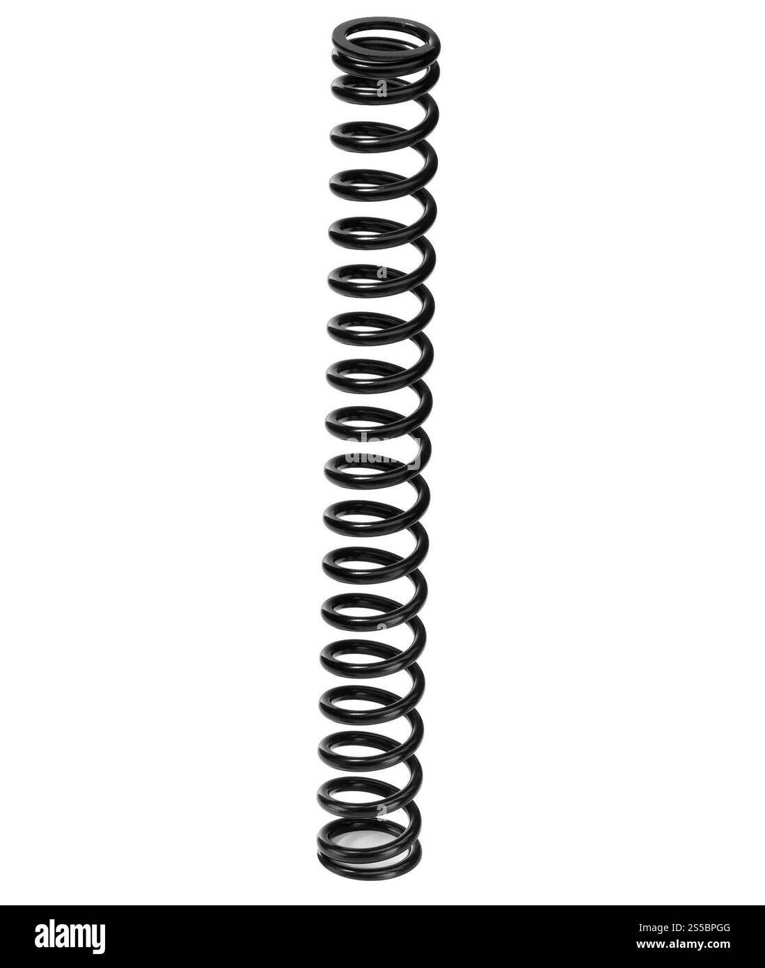 Spring isolated on white background. Spring Stock Photo - Alamy