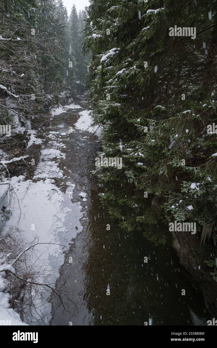 Winter scenery with snowfall and mountain stream running through ...