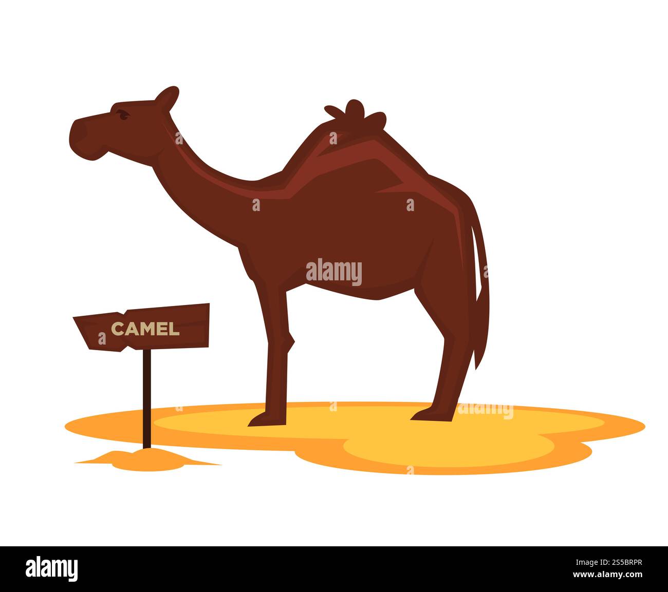 Camel zoo animal and wooden signboard vector cartoon icon. Isolated ...