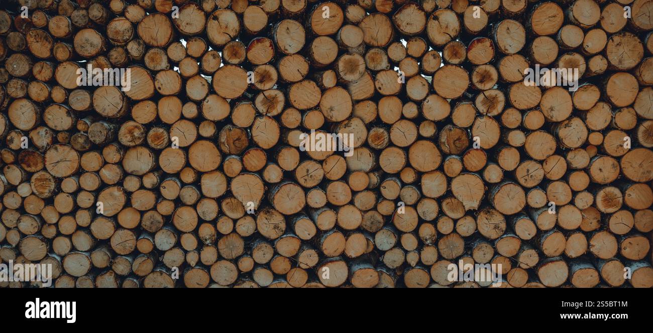 Stack of tree trunks. Texture background wallpaper. Stack of tree ...