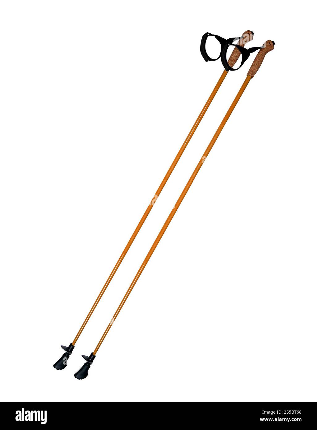 walking sticks isolated on white background. walking sticks under thew ...