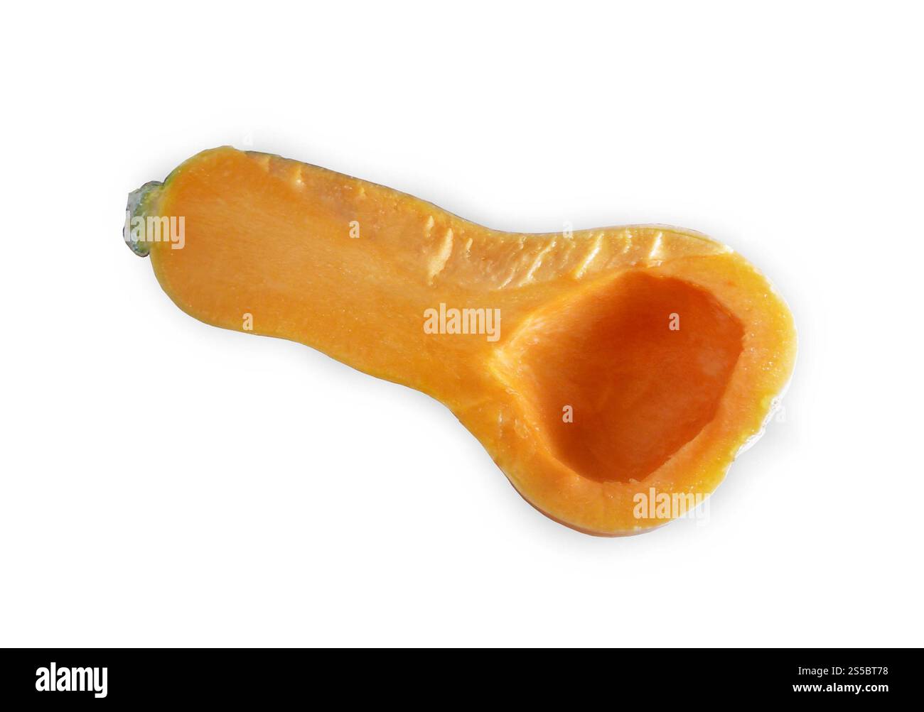 Butternut squash, whole and halved isolated on white background ...