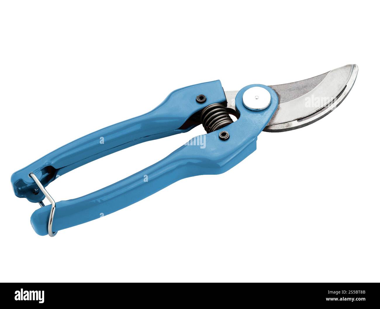 blue garden pruner isolated on white background. blue garden pruner on ...