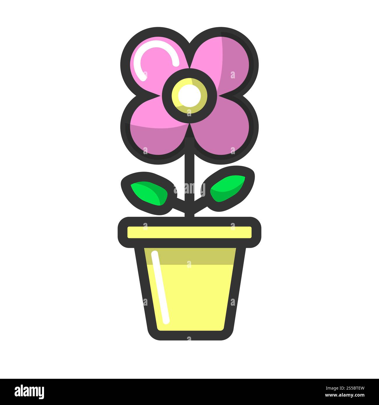 Indoor flower with purple blossom in clay pot. Potted house plant with ...