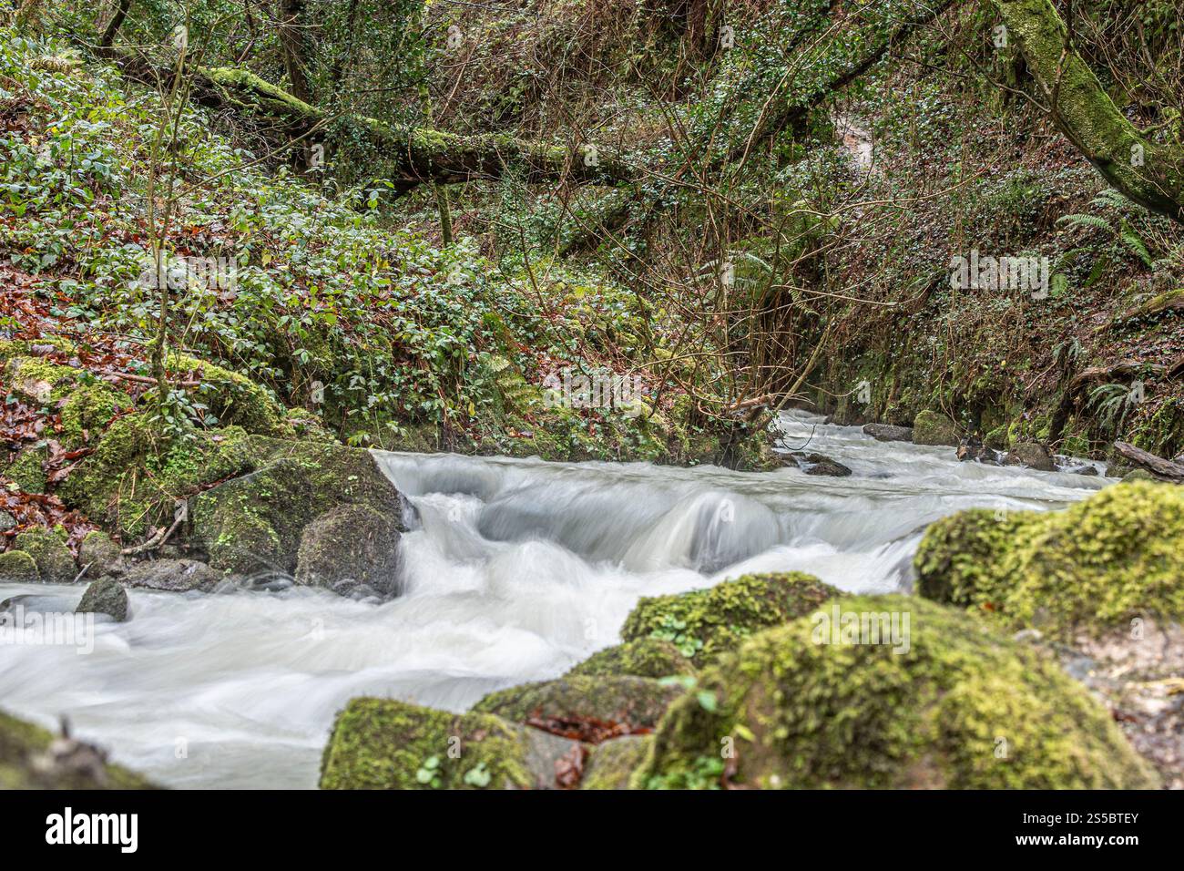 River Barn flowing through the nTregargus Valley heritage industrial ...