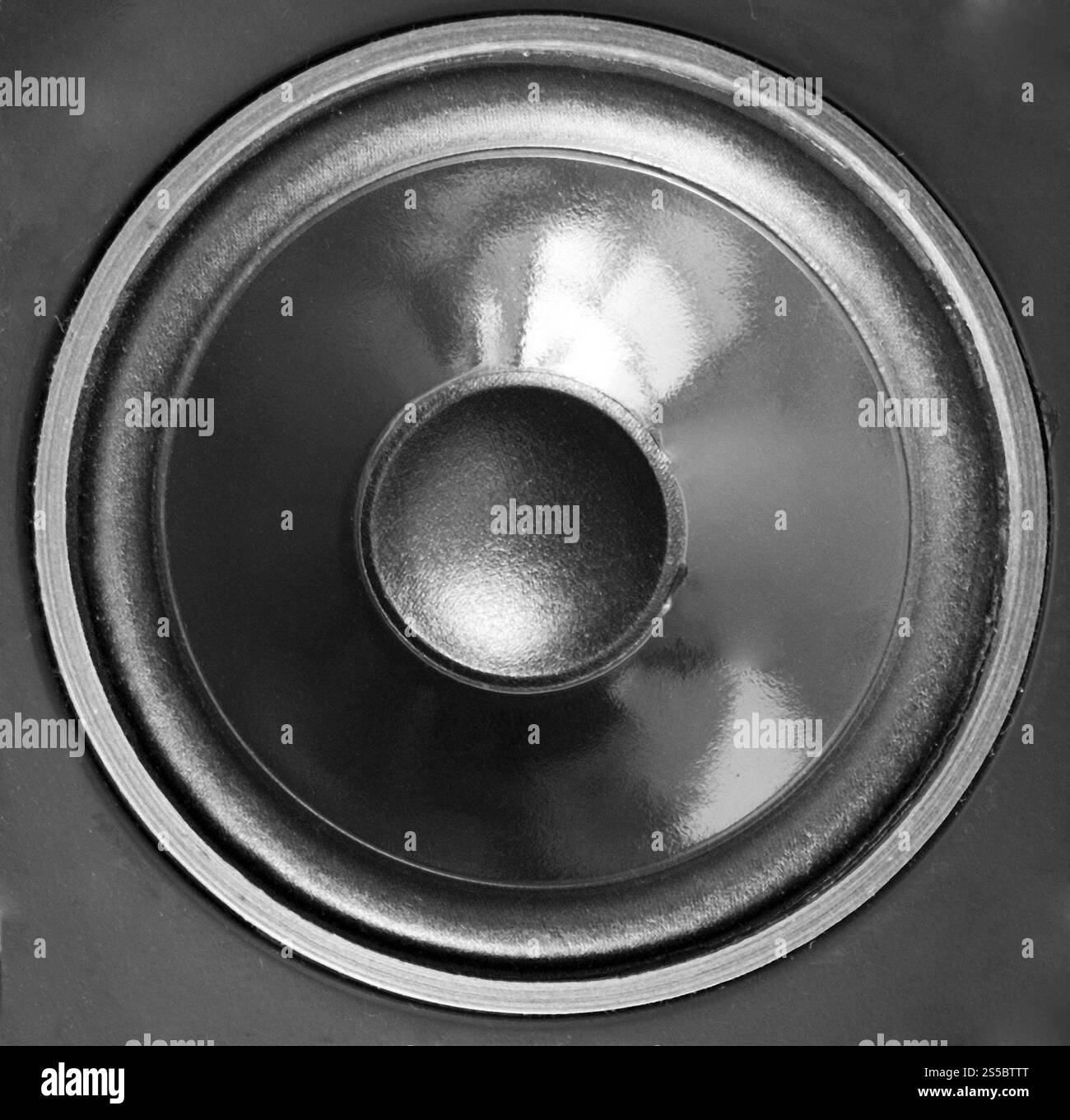 Black acoustic speaker with sphere close up. Black acoustic speaker ...