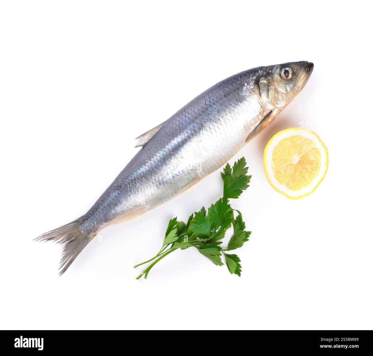 fish with lemon and parsley isolated on white background. fish with ...