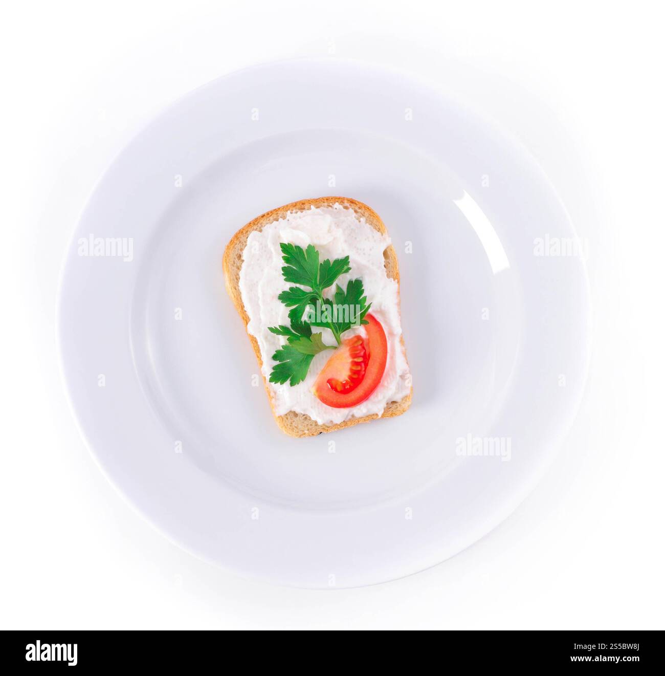 toast with tomato isolated on white background. toast with tomato Stock ...