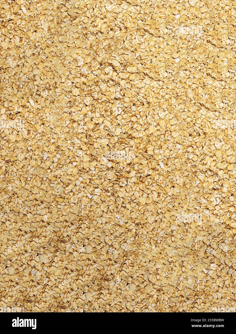 fresh whole grain oats background. fresh whole grain oats background ...