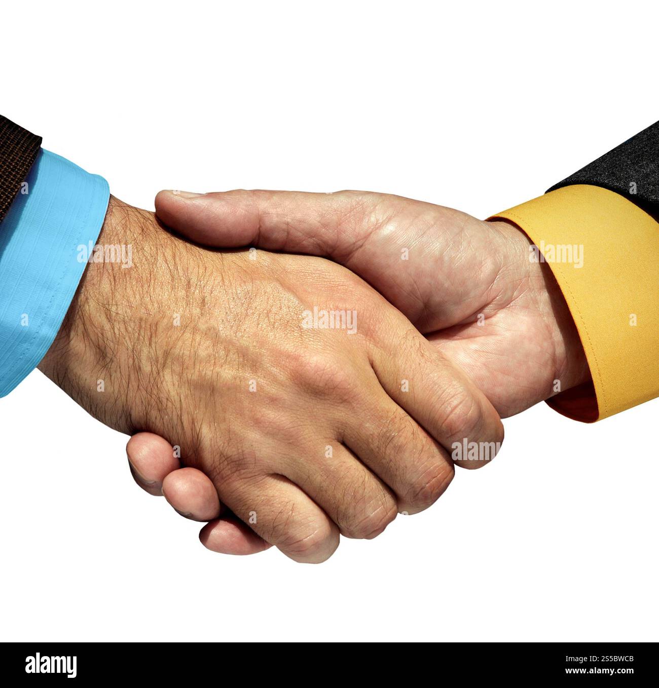 shaking hands isolated on white background. shaking hands Stock Photo ...