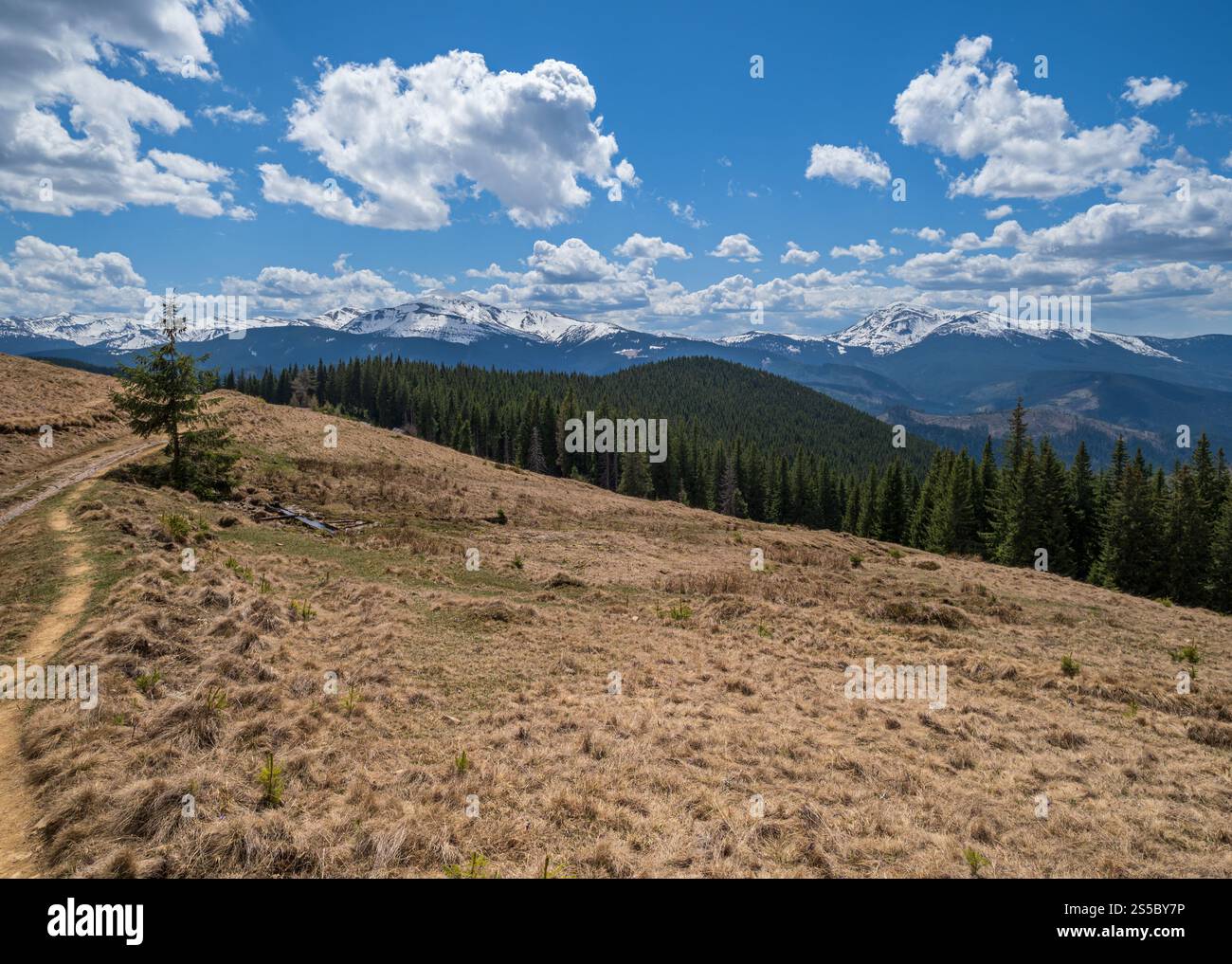 Hiking path on spring Carpathian mountain plateau, Ukraine Stock Photo ...