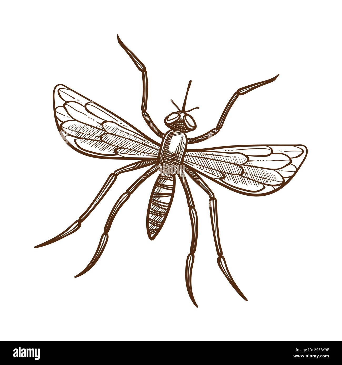 Mosquito monochrome vector illustration sketch isolated on white ...