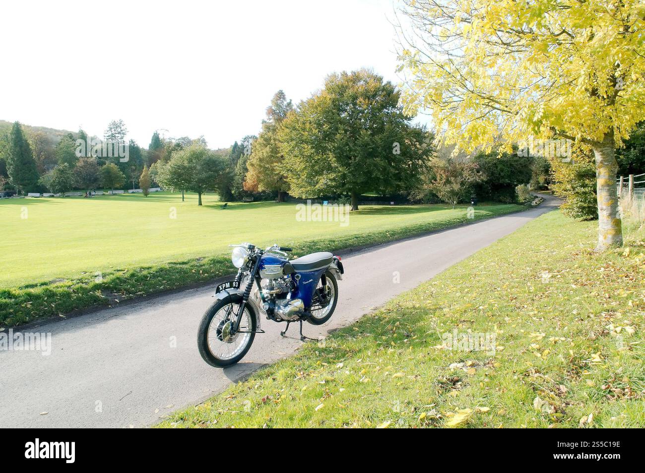 1962 Triumph 500cc Tiger 100SS Stock Photo - Alamy
