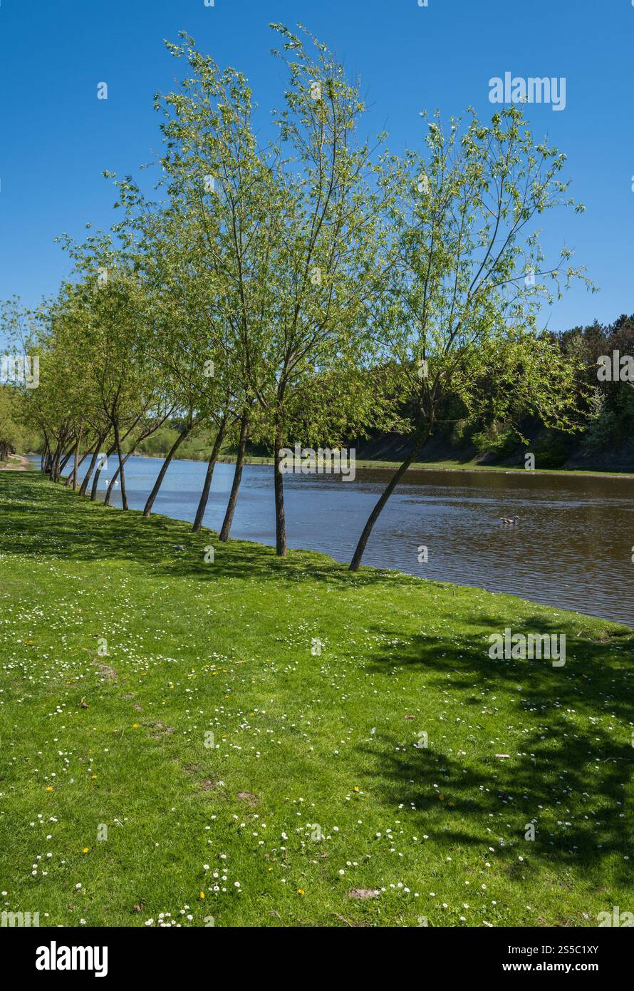 Amazing spring view on the Seret River coast, Ternopil region, Ukraine ...