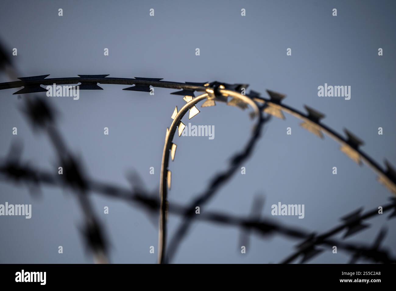 Symbolic image of security, S-wire coils, NATO wire, on a fence crown ...