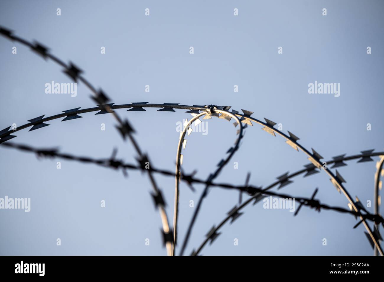 Symbolic image of security, S-wire coils, NATO wire, on a fence crown ...