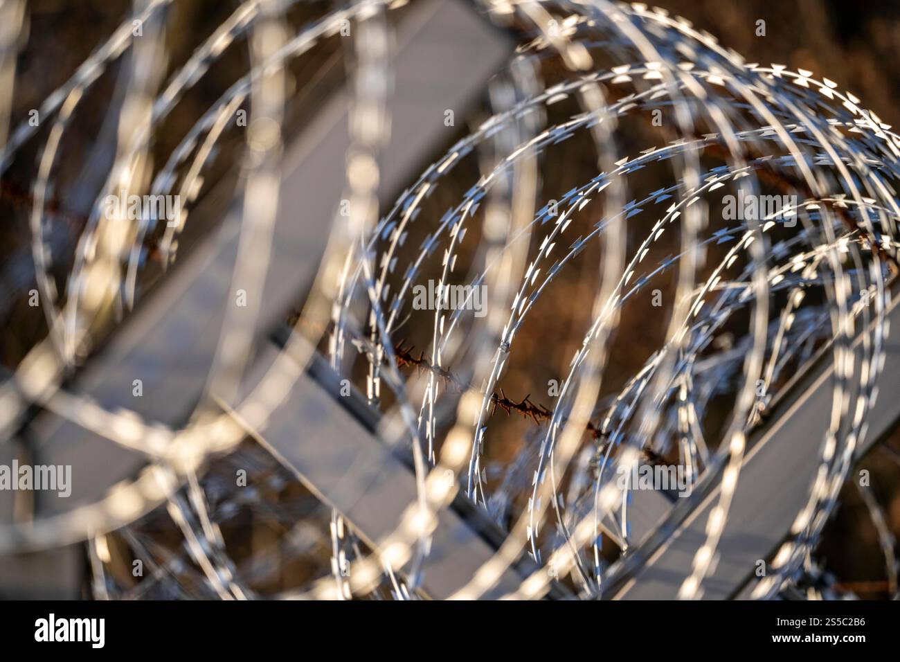 Symbolic image of security, S-wire coils, NATO wire, on a fence crown ...