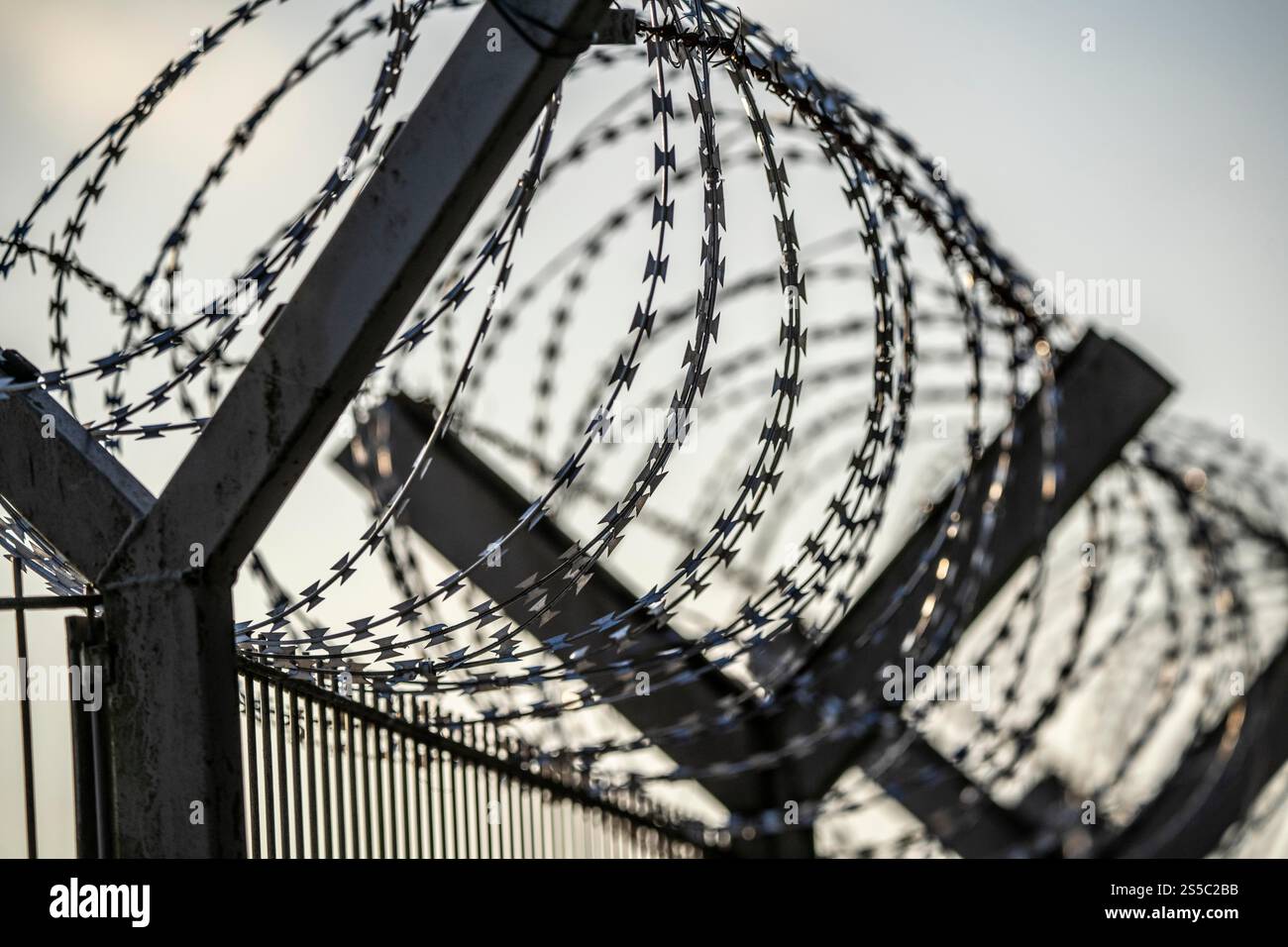 Symbolic image of security, S-wire coils, NATO wire, on a fence crown ...