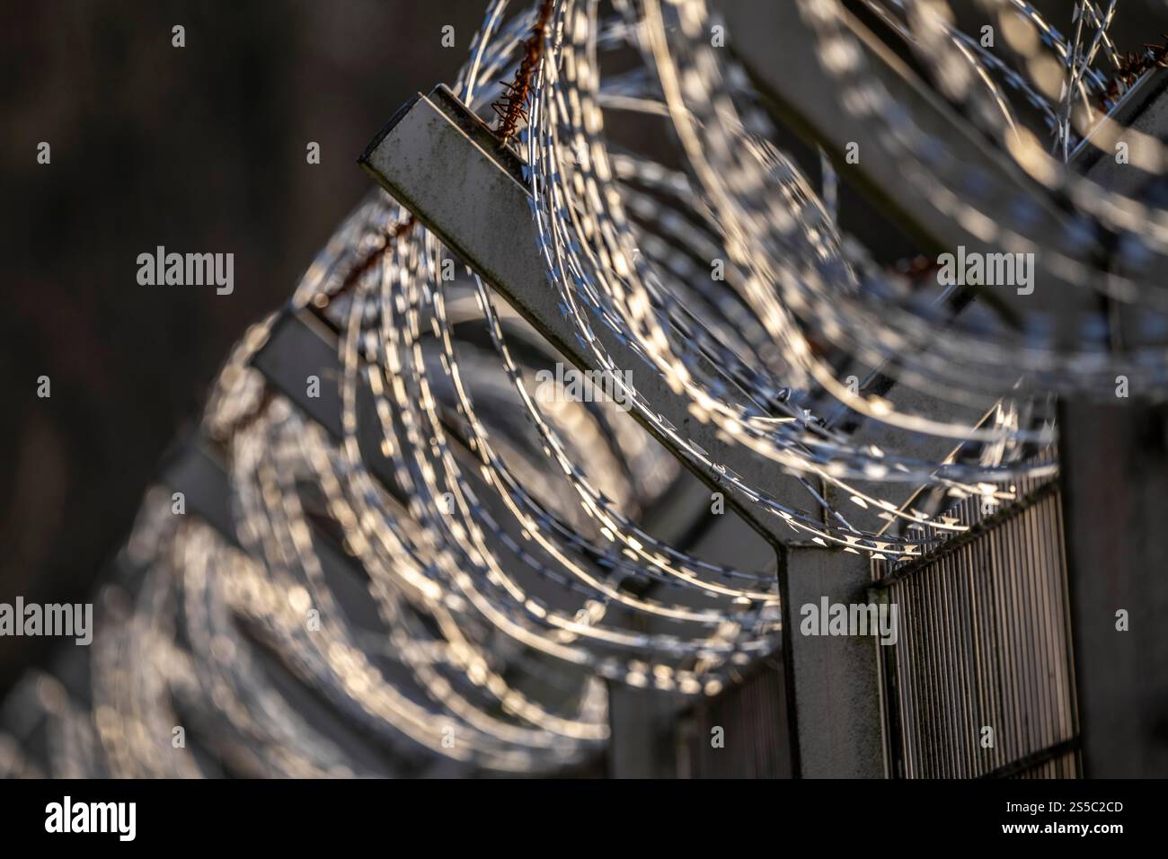 Symbolic image of security, S-wire coils, NATO wire, on a fence crown ...