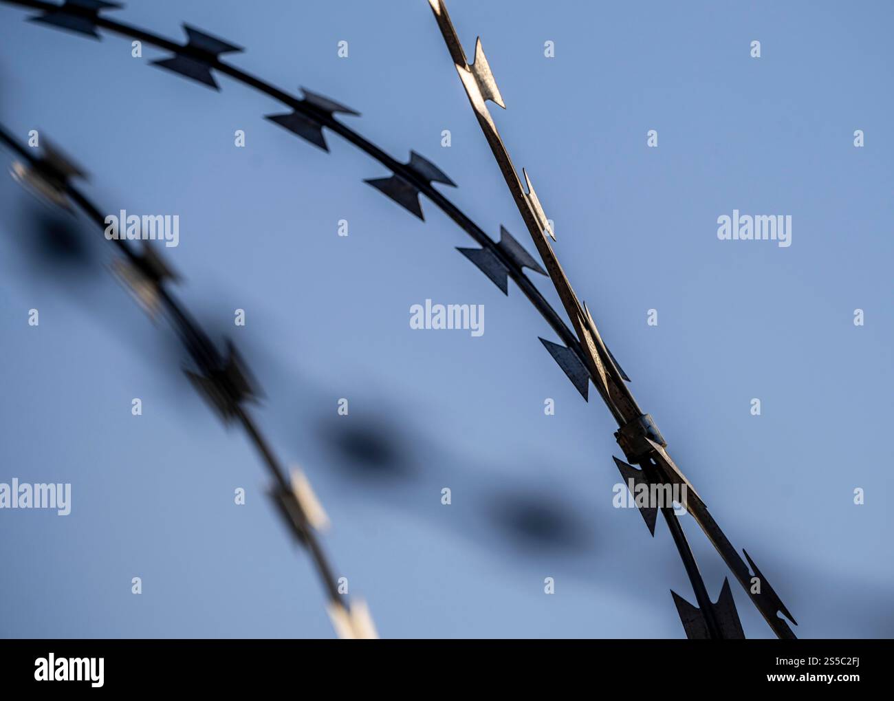 Symbolic image of security, S-wire coils, NATO wire, on a fence crown ...