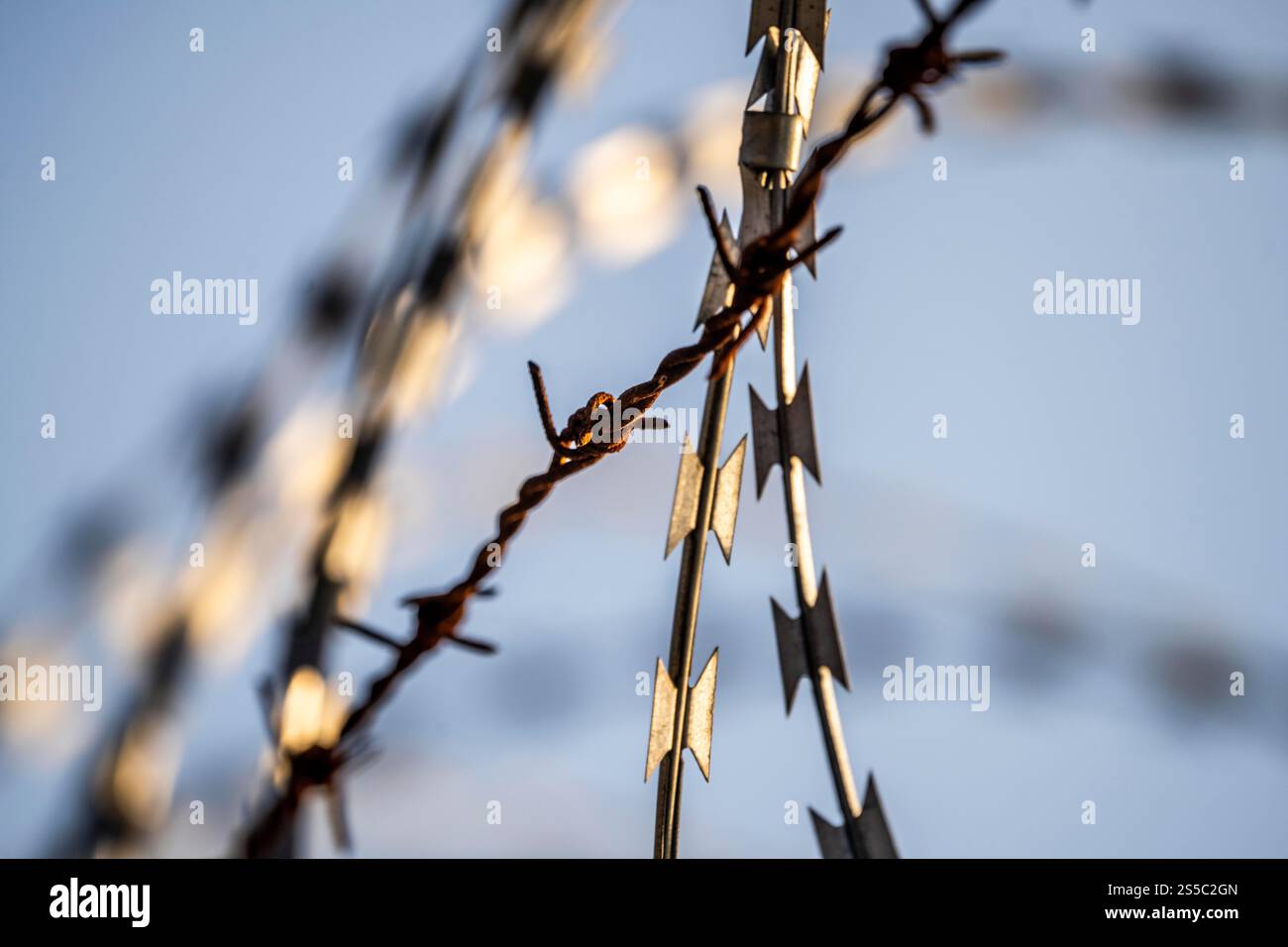 Symbolic image of security, S-wire coils, NATO wire, on a fence crown ...