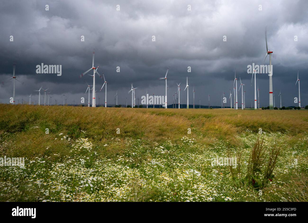 01/07.2024 German Wind Turbines across the landscape in the region of ...