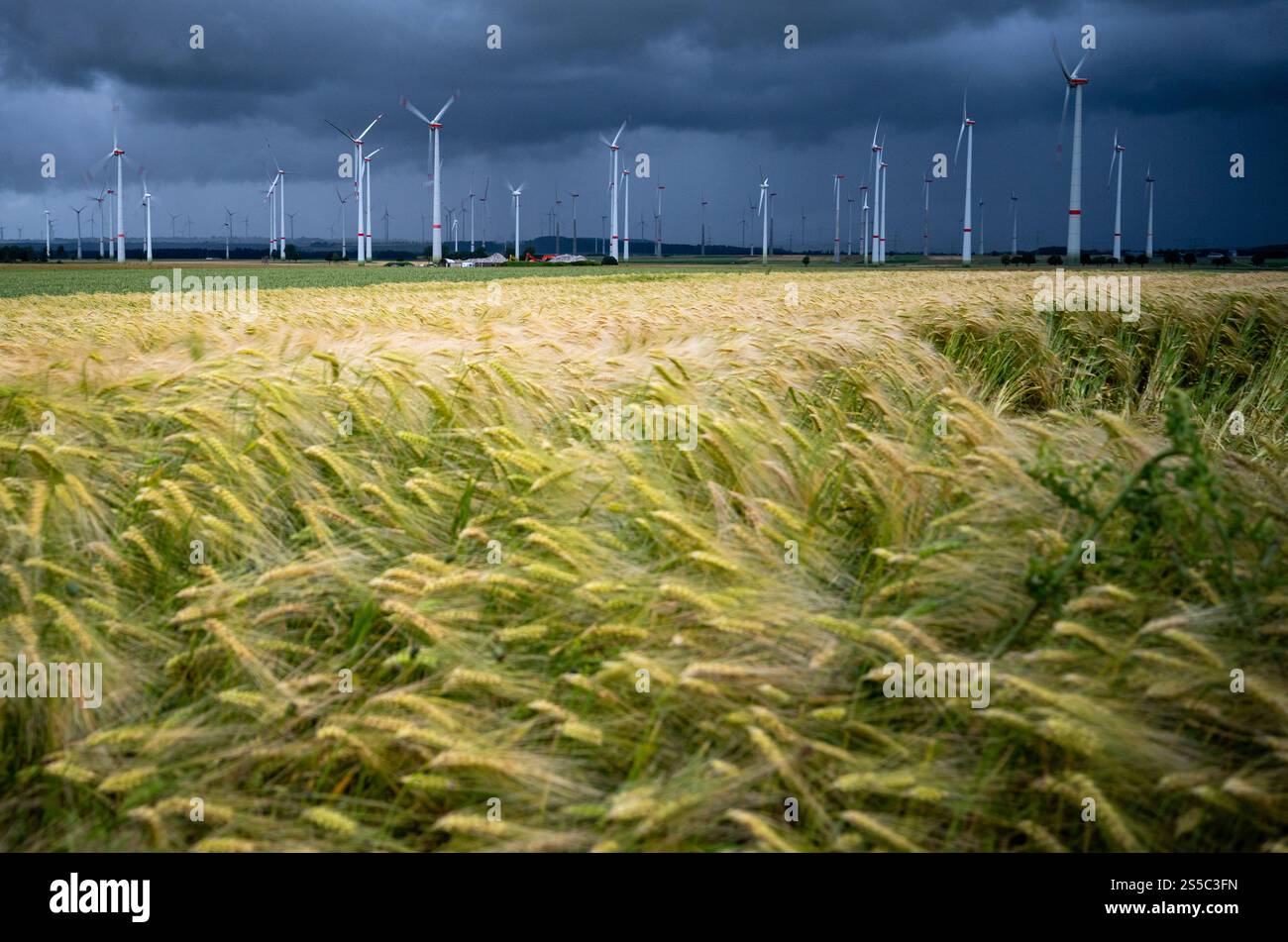 01/07.2024 German Wind Turbines across the landscape in the region of ...