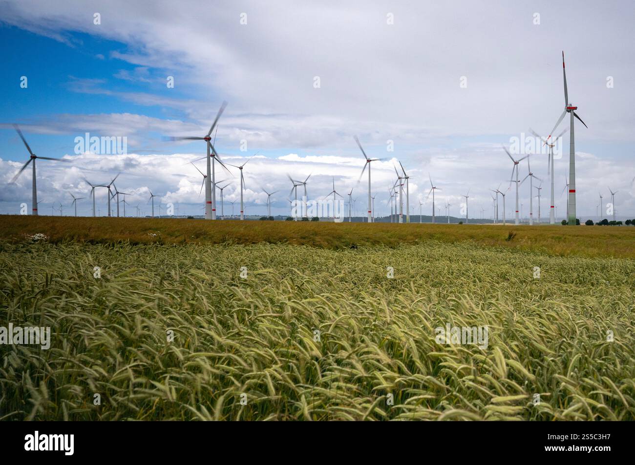 01/07.2024 German Wind Turbines across the landscape in the region of ...