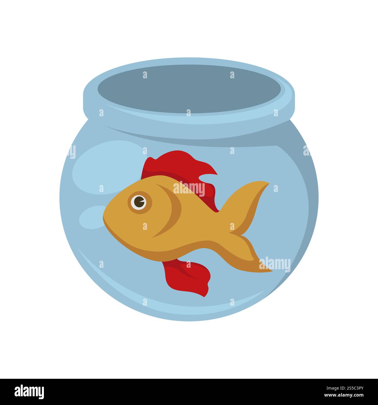 Gold fish with red flippers in round aquarium. Small silent pet that ...