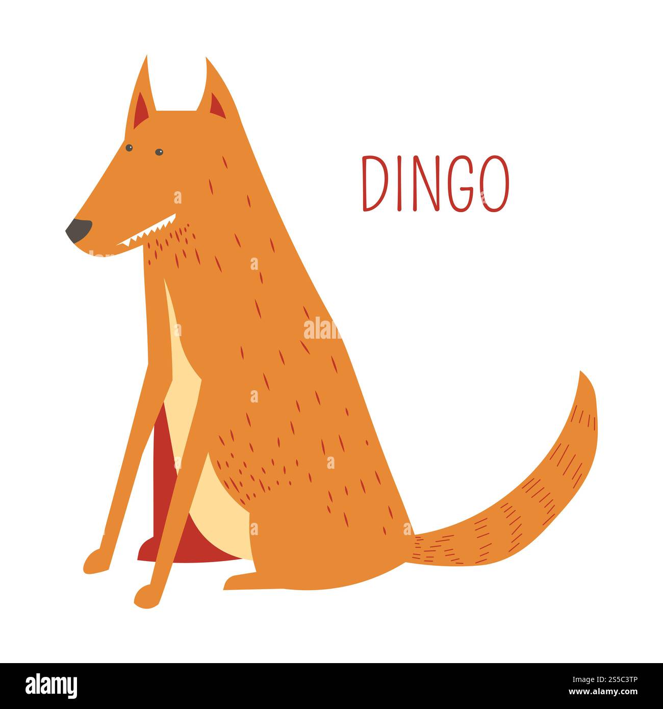 Animal from new zealand Stock Vector Images - Alamy
