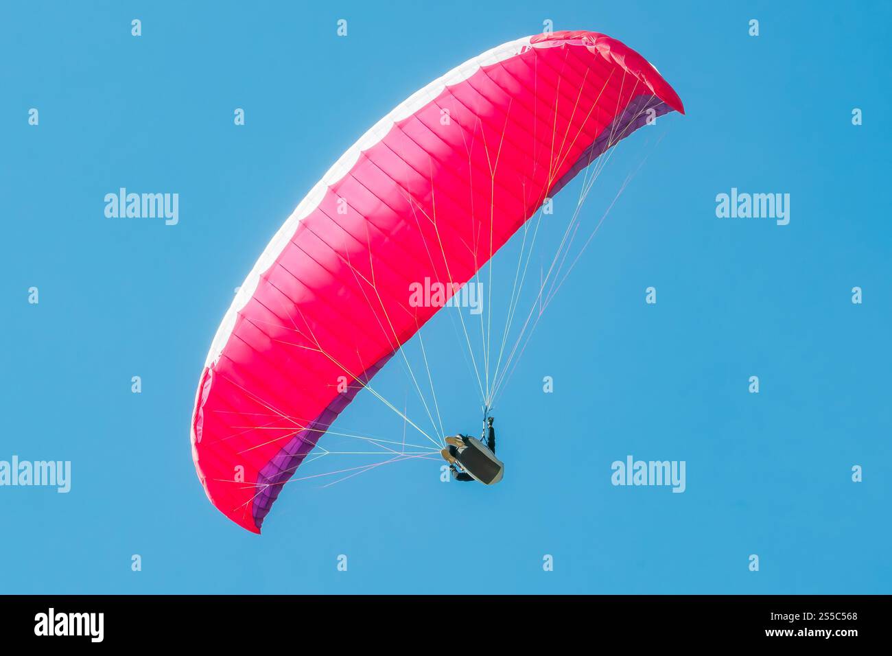 Vibrant harness hi-res stock photography and images - Alamy