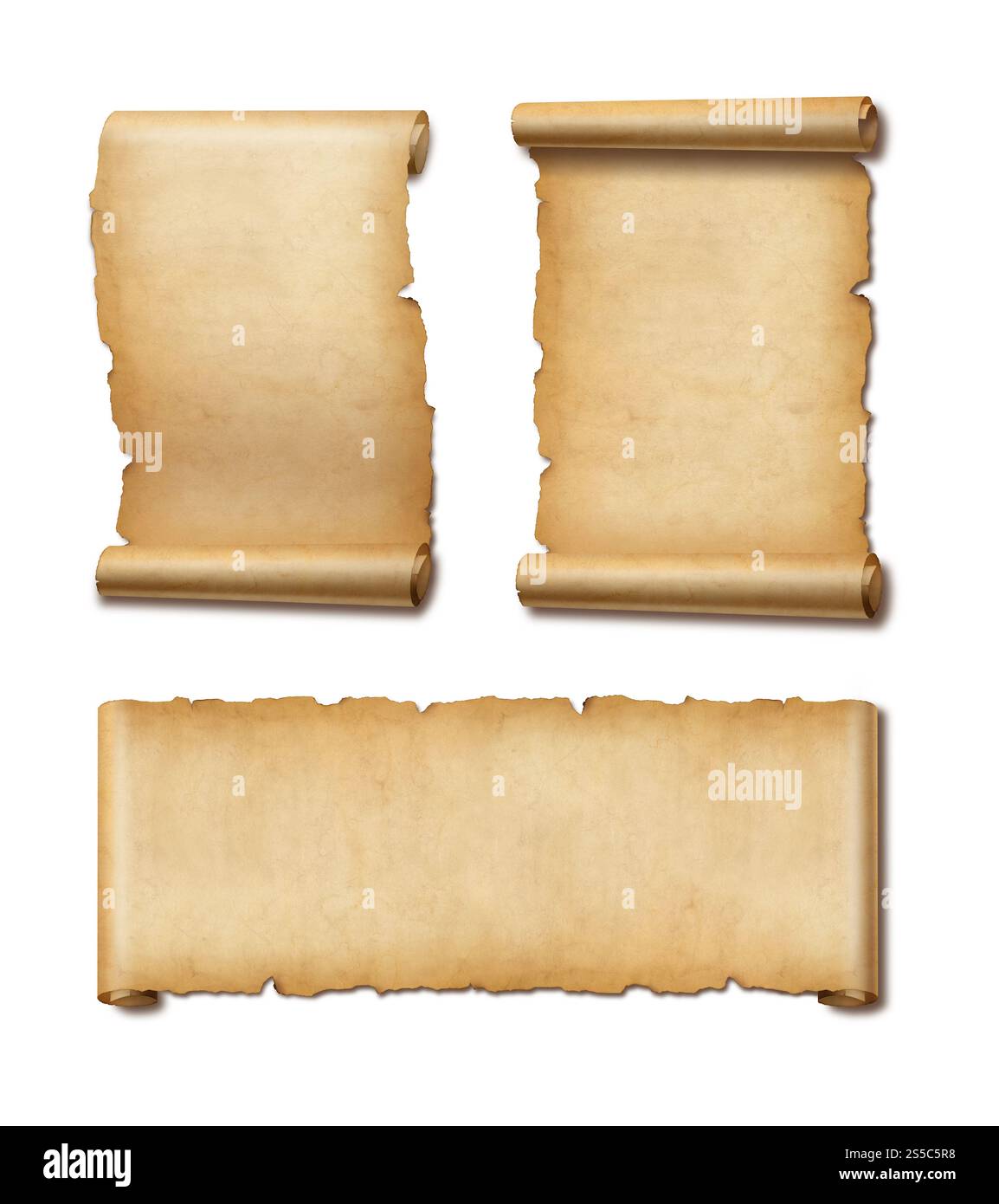 Old Parchment paper scroll isolated on white with shadow. Horizontal ...