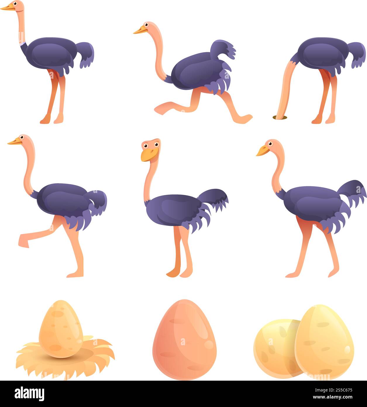 Ostrich icons set. Cartoon set of ostrich vector icons for web design ...