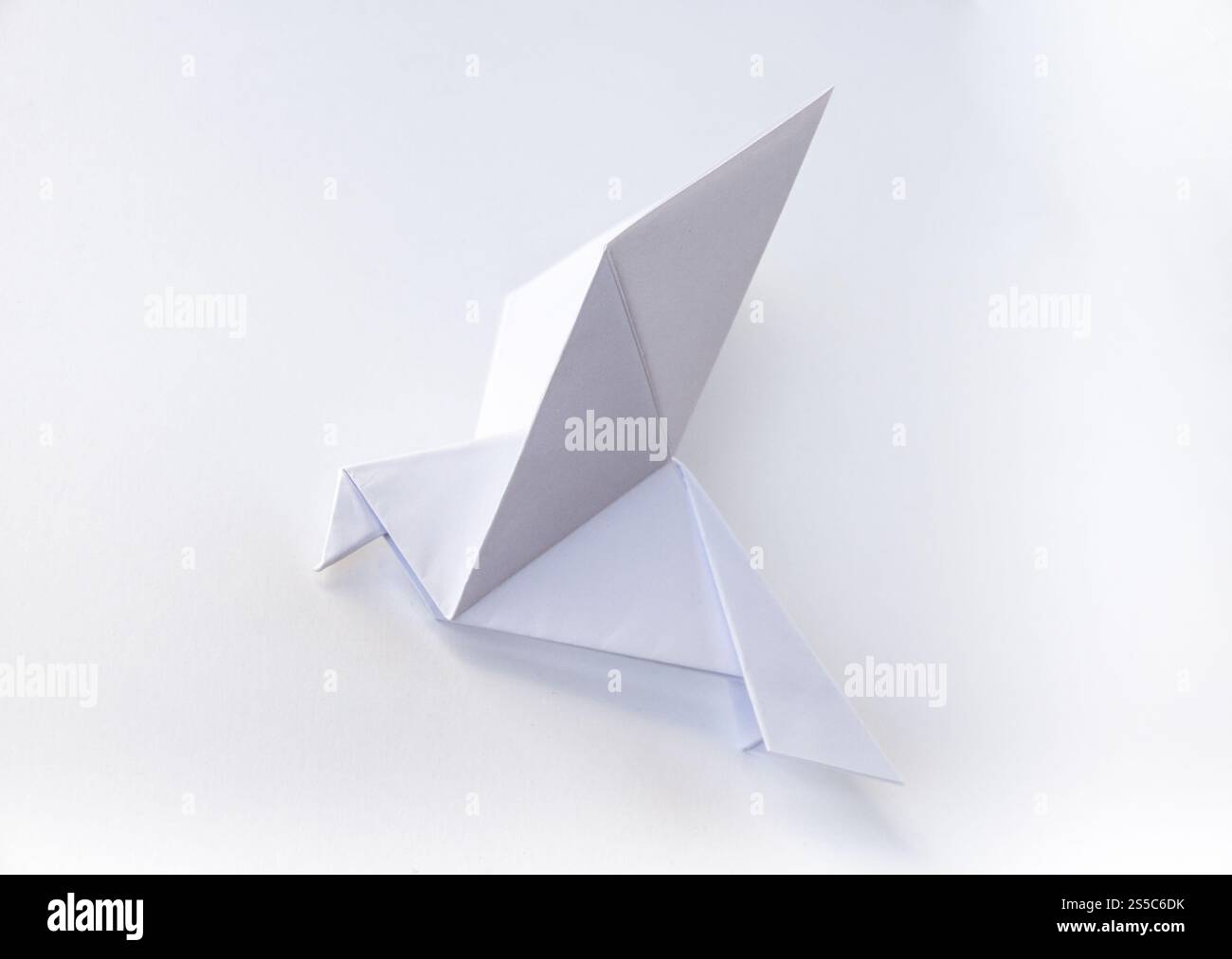 Paper dove origami isolated on a blank white background. Paper dove ...