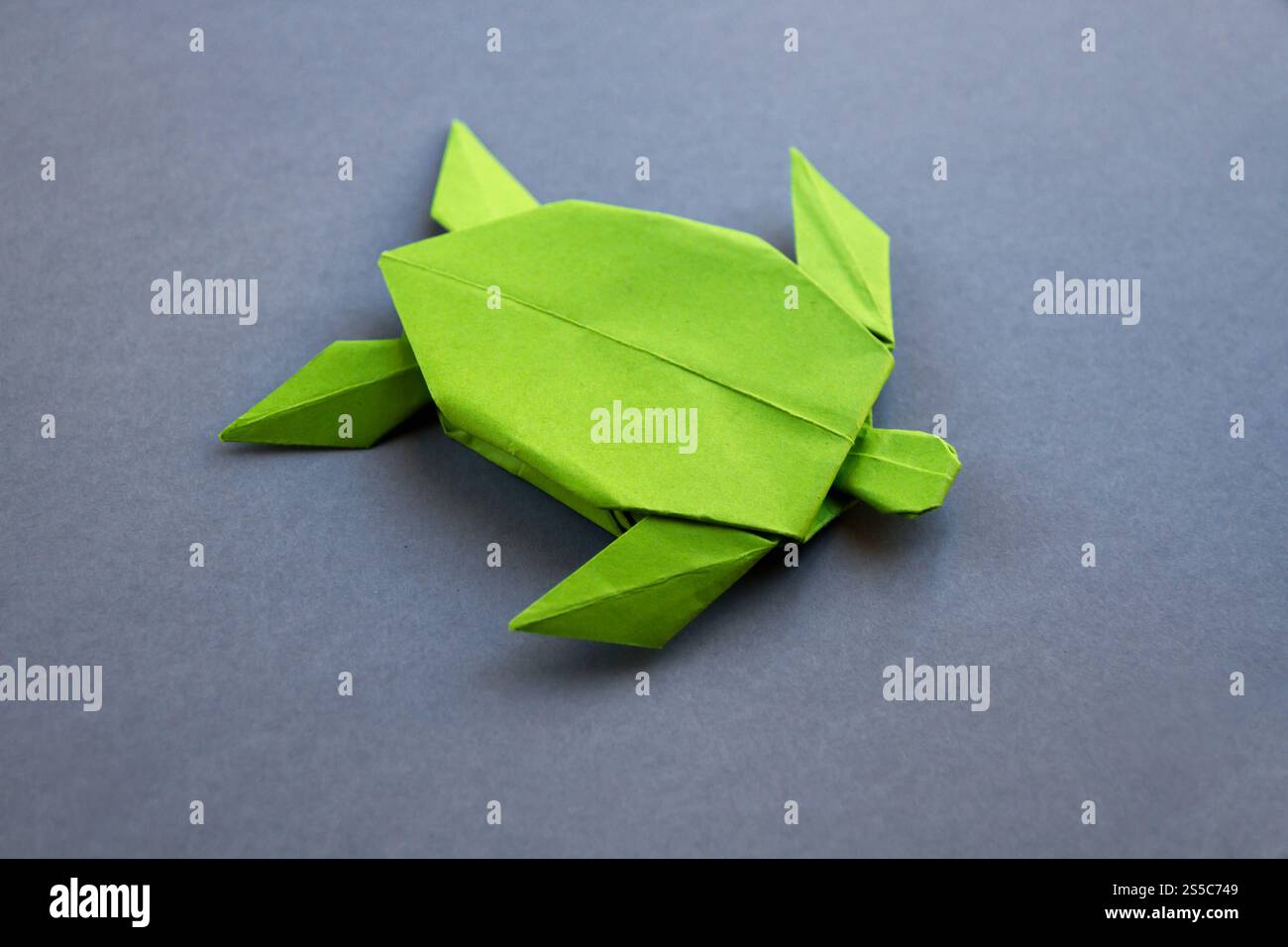 Green paper turtle origami isolated on a blank grey background. Green ...