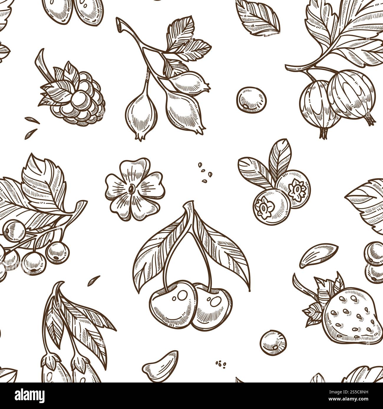 Berries sketch pattern background. Vector seamless design of gooseberry ...