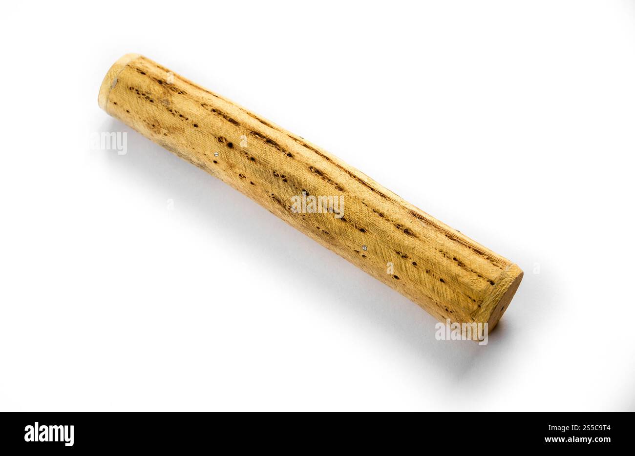 Traditional rain stick made of cactus wood isolated on white background ...